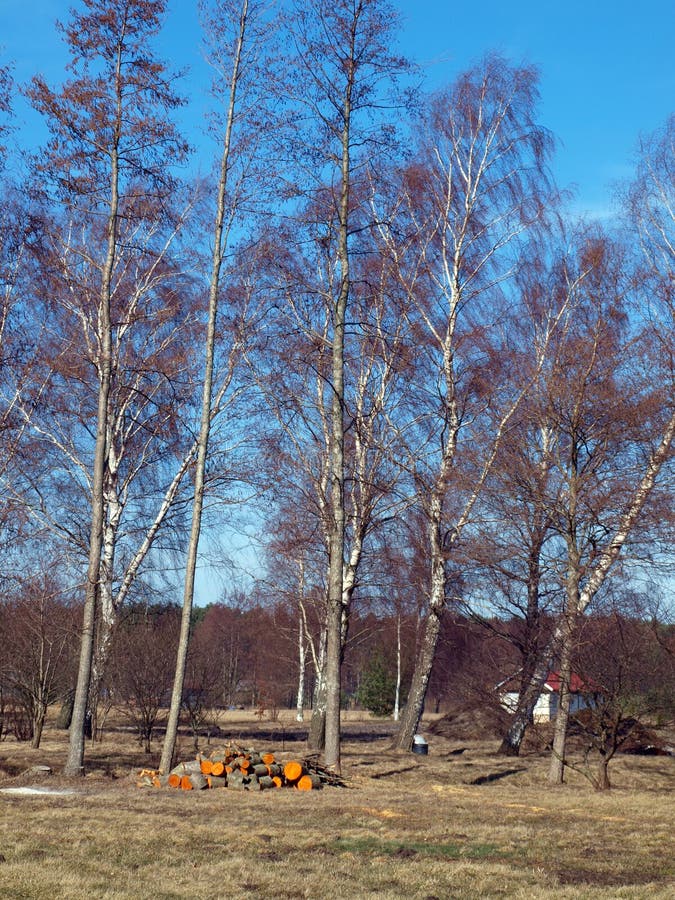 Spring on country stock photo. Image of landscape, pile - 39128000