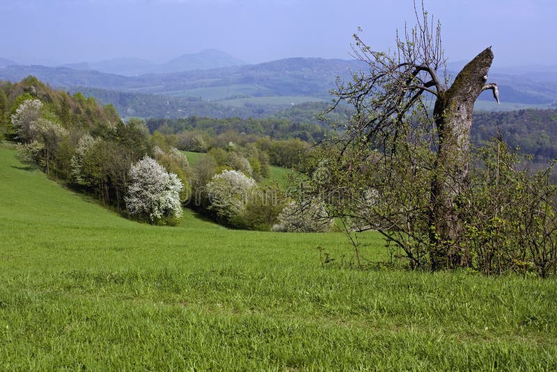 Spring in the country stock photo. Image of trees, valley - 35537012