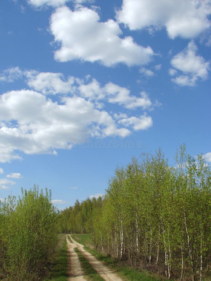 Spring country road stock image. Image of road, season - 5275135