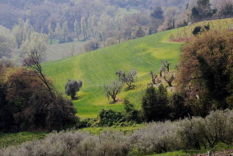 Spring in the countryside stock image. Image of agriculture - 12302309