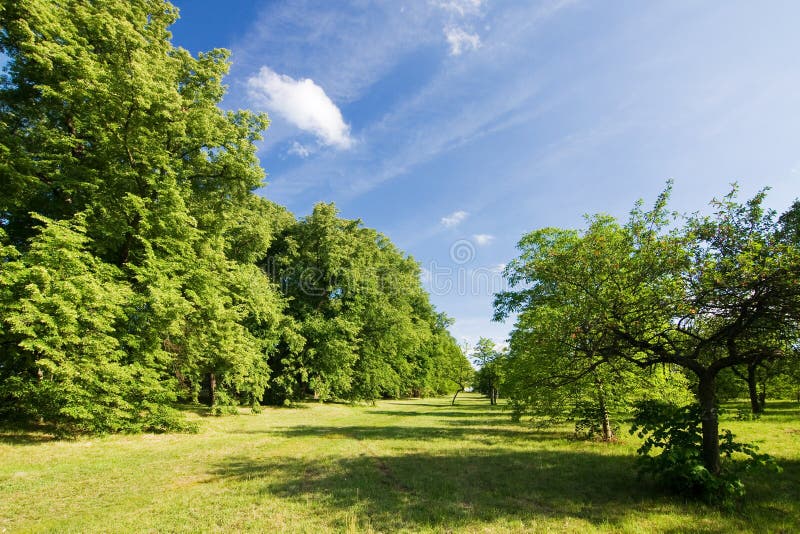 Spring countryside stock image. Image of spring, meadow - 25185685