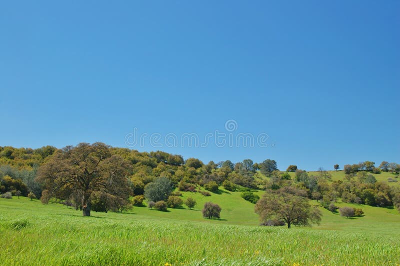 Spring countryside stock image. Image of spring, summer - 901065