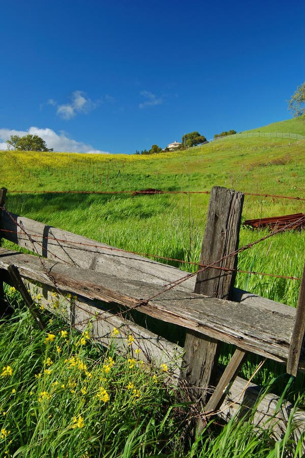 Spring countryside stock image. Image of summer, spring - 901071