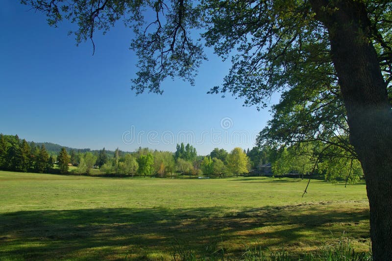 Spring countryside stock image. Image of rural, field, flora - 901161