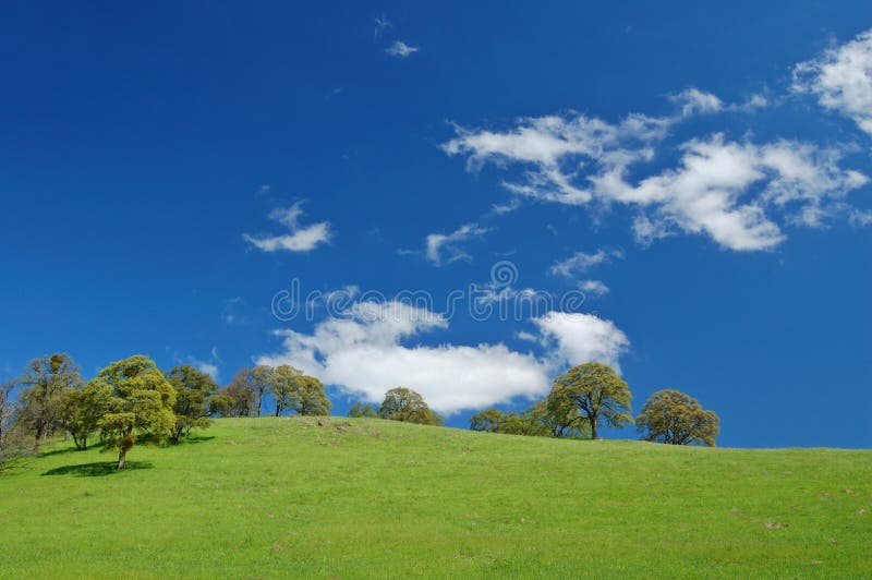 Spring countryside stock image. Image of growing, green - 901211