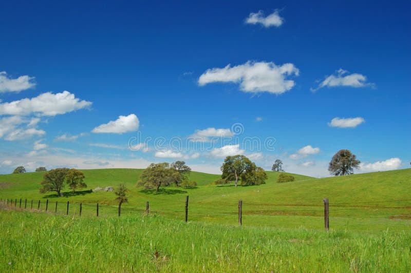 Spring countryside stock image. Image of idyllic, flora - 901187