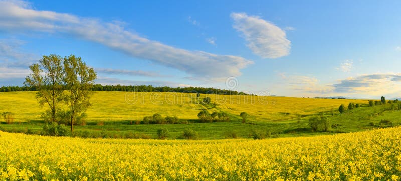 Spring countryside stock image. Image of landscape, tree - 55657265