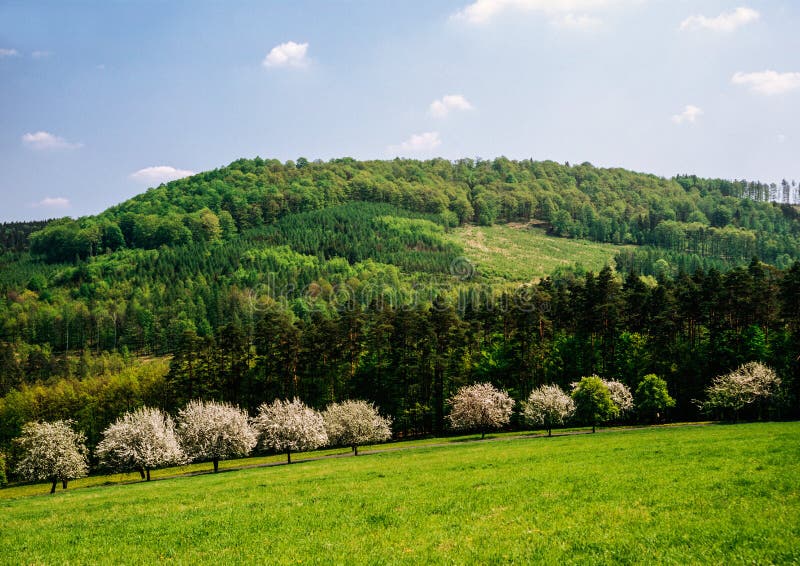 Spring in the Countryside and Forests Stock Image - Image of theme ...