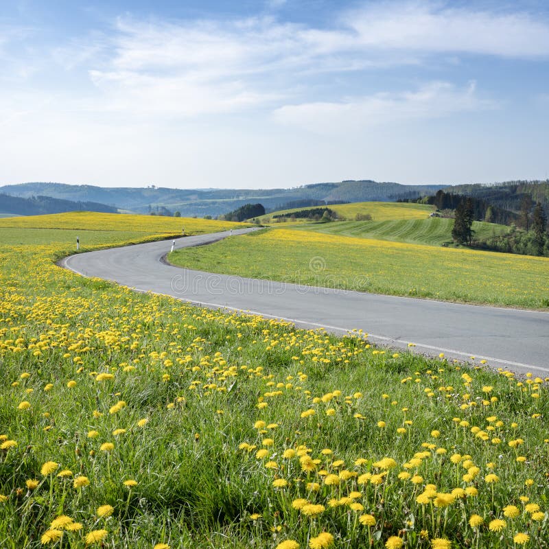Spring Countryside of German Sauerland with Blooming Fields of ...