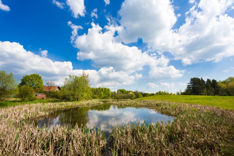 Spring in the countryside stock photo. Image of tree - 92610054