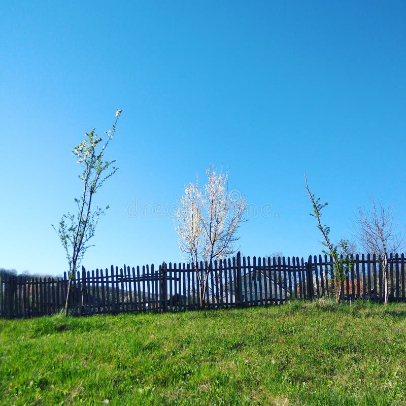 Spring Countryside Landscape - Peaceful Blue Sky Stock Photo - Image of ...