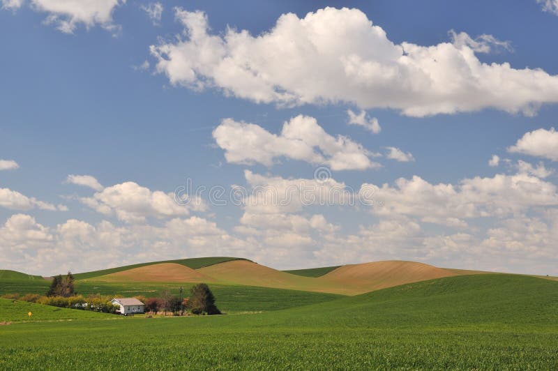 Spring Countryside Scene in Colfax Stock Image - Image of landscape ...