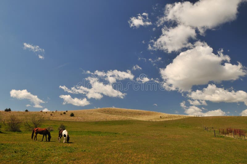 Spring Countryside Scene in Colfax Stock Image - Image of crop ...
