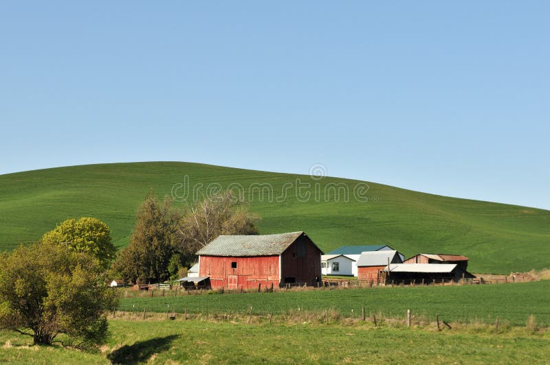Spring Countryside Scene in Colfax Stock Image - Image of grain ...
