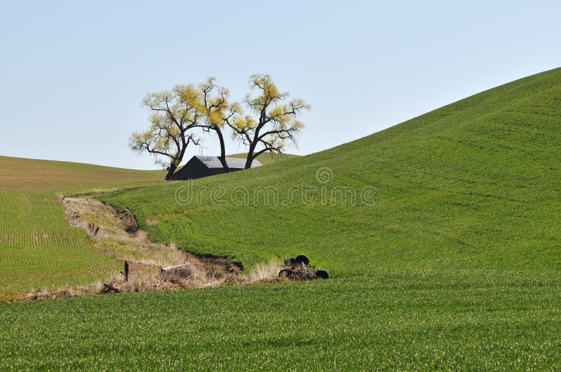 Spring Countryside Scene in Colfax Stock Photo - Image of hill ...