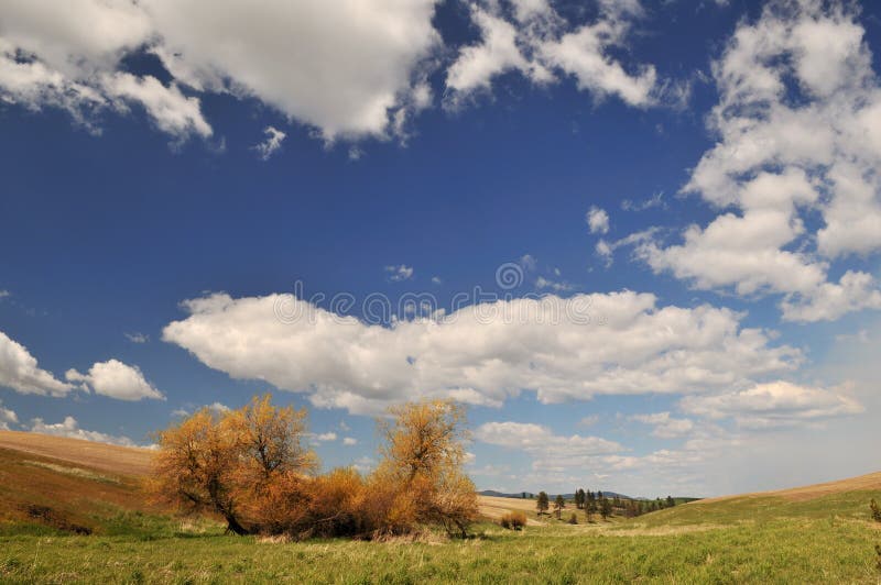 Spring Countryside Scene in Colfax Stock Photo - Image of landscape ...