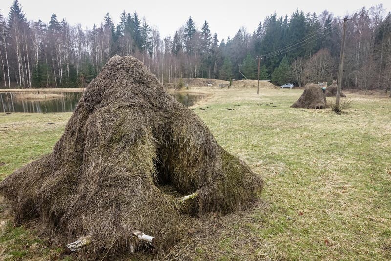 A Haystack with Old Hay in the Field Stock Photo - Image of field ...