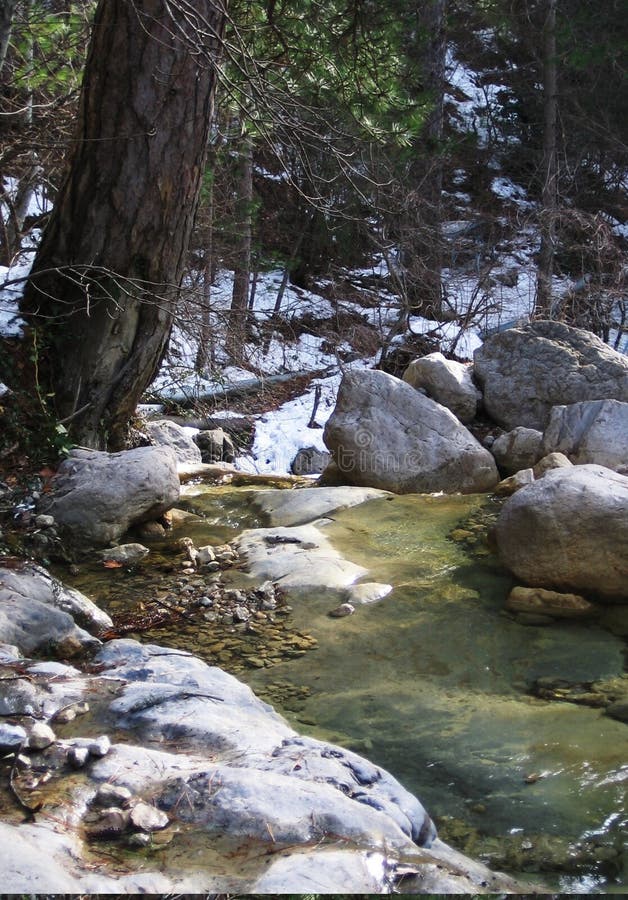 Spring creek stock image. Image of water, shoot, nature - 1125109