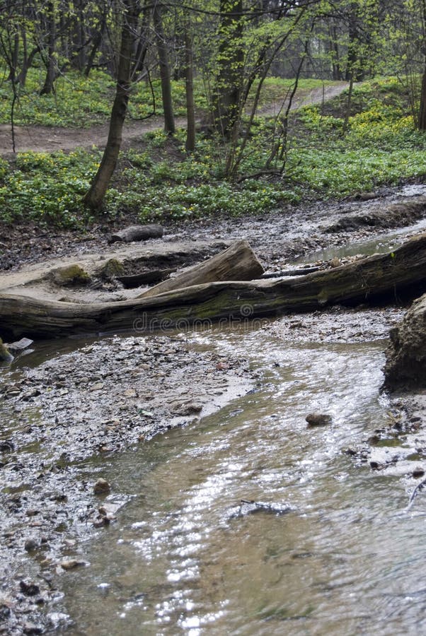 Spring creek stock photo. Image of natural, clean, beauty - 23033578