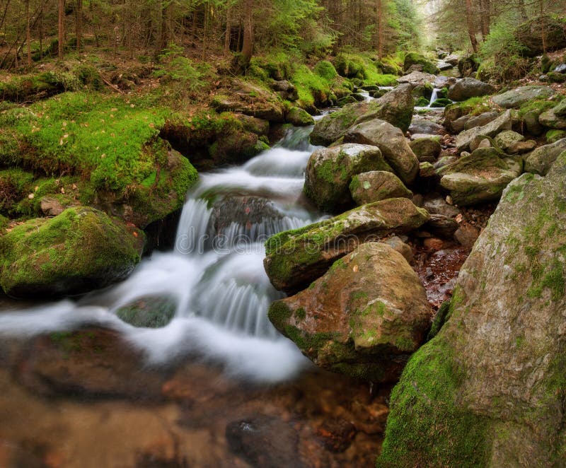Spring creek stock image. Image of mountain, park, scenery - 39766061