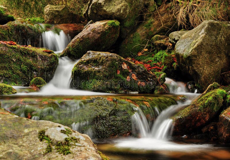 Spring creek stock photo. Image of outdoor, tree, mountain - 40394026