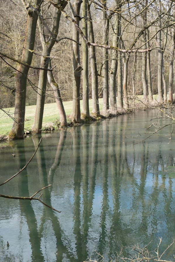 Spring on a Creek in the Forest Stock Photo - Image of scenery, rock ...