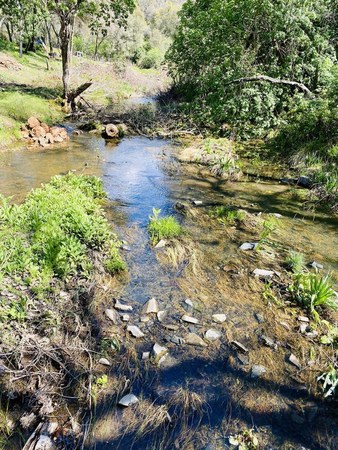 Spring creek stock photo. Image of stream, creek, water - 176604216
