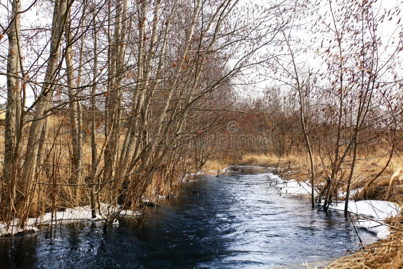 Spring creek stock image. Image of exposure, motion, beautiful - 55466301