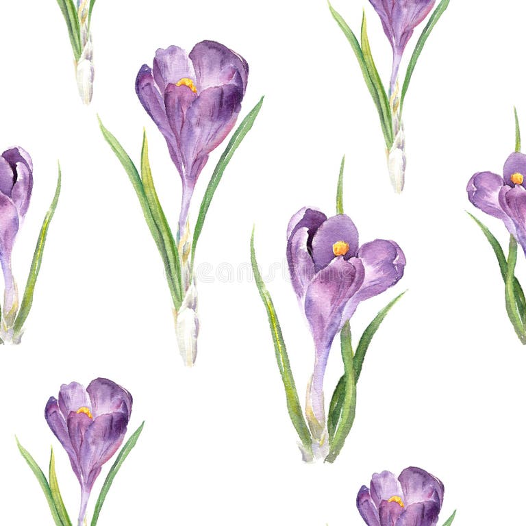 Crocus Flower Stock Illustrations – 26,120 Crocus Flower Stock ...