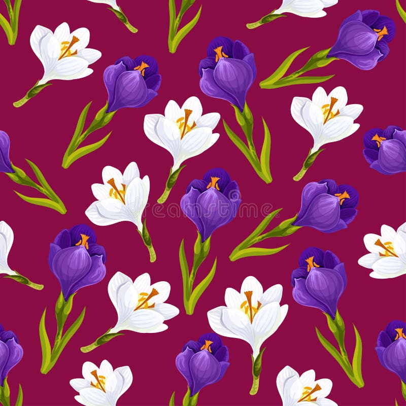 Spring Crocus Flower Seamless Pattern, Vector Stock Vector ...