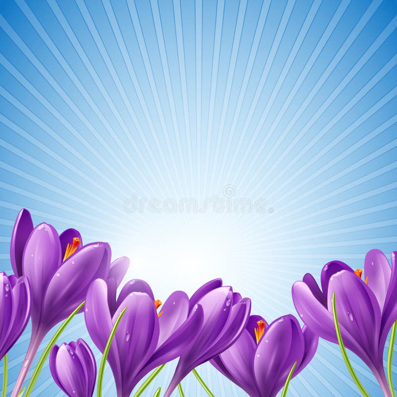 Early Spring Flowers Stock Illustrations – 11,004 Early Spring Flowers ...
