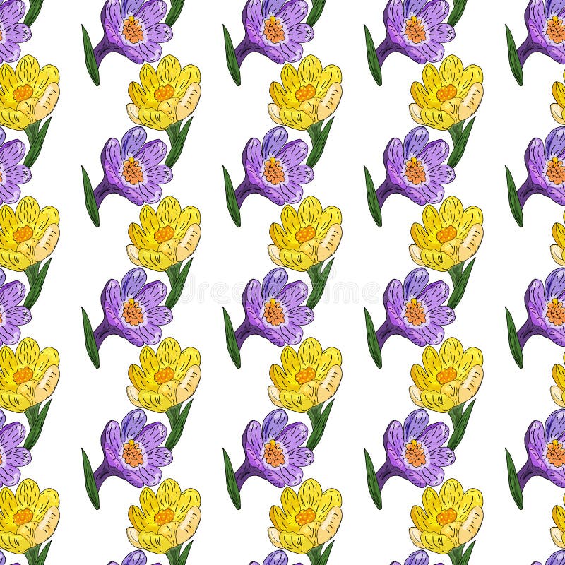 Spring Crocuses Seamless Pattern in Vector. Stock Vector - Illustration ...