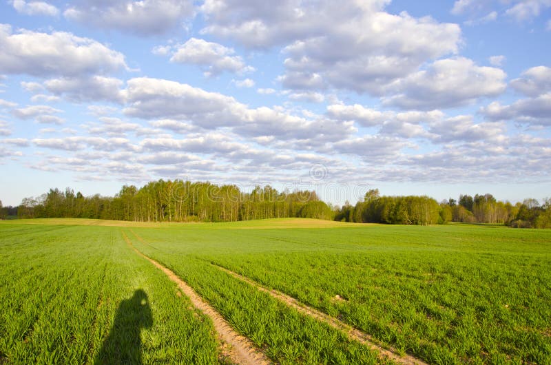 Spring crop field stock image. Image of country, farming - 22956593
