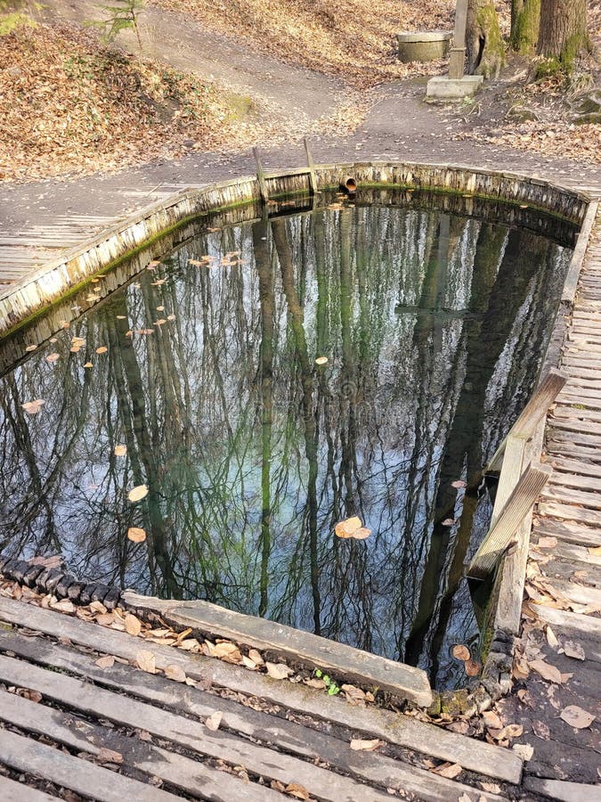 A Spring with Crystal Clear and Transparent Water, Which Flows in the ...