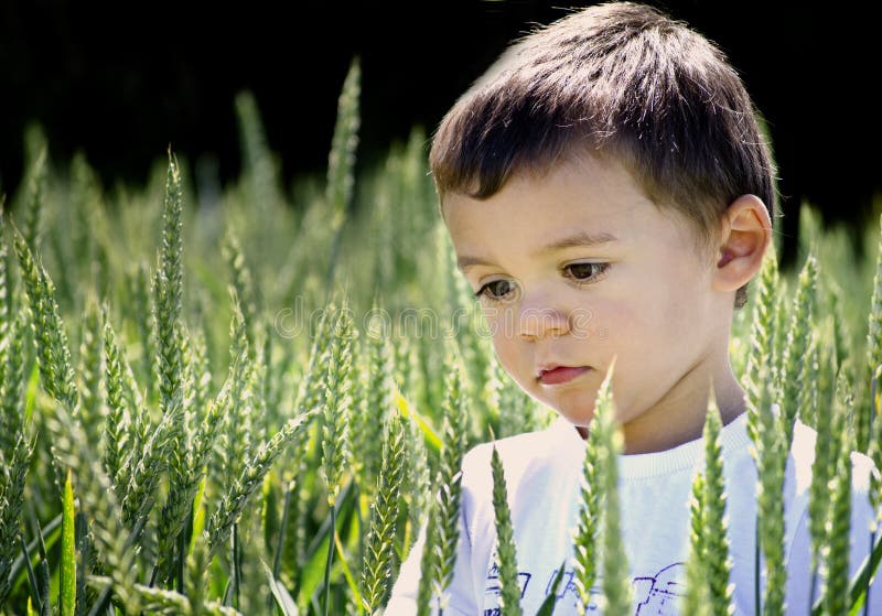 Spring cute boy stock image. Image of nature, activity - 40750189