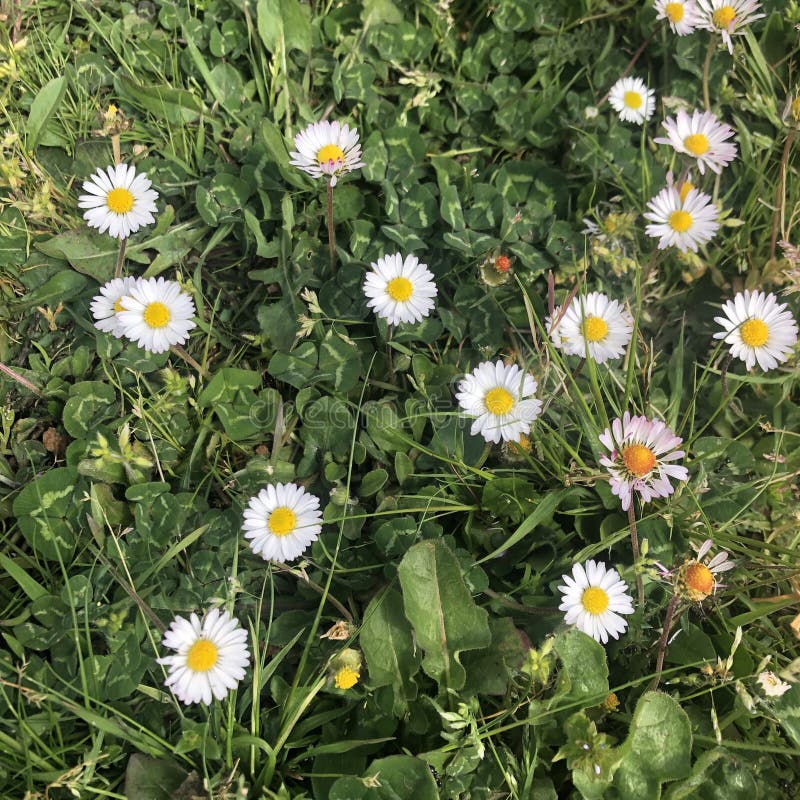 Adalyan - Photographer profile