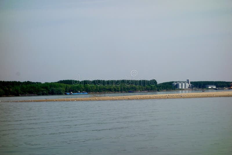 Spring on the Danube River. Stock Image - Image of outdoors, poplar ...