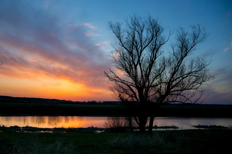 Spring Dawn on the River Don, Big Tree Stock Photo - Image of fantasy ...