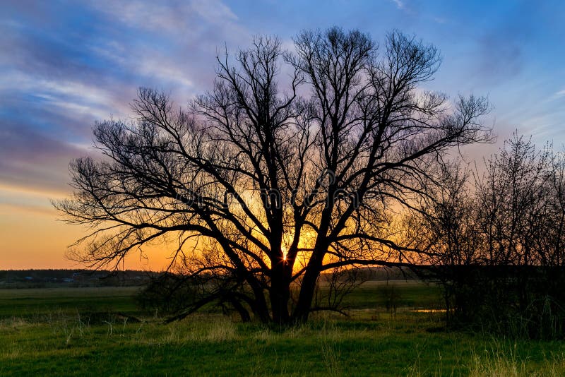 Spring Dawn on the River Don, Sun Rays Pass through the Crown of the ...