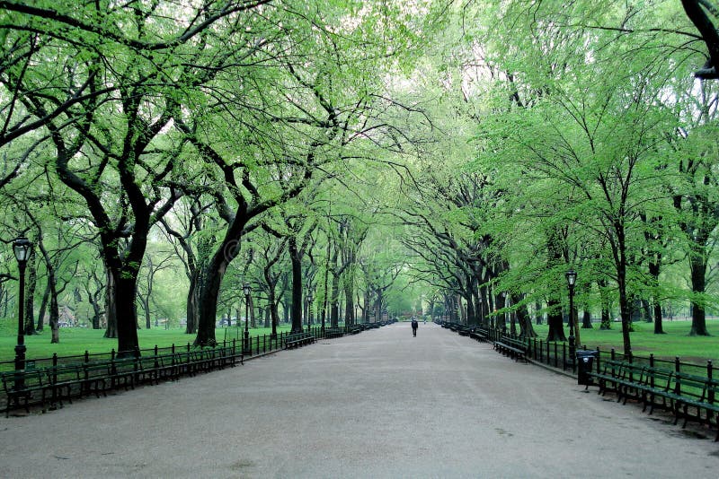 Central Park in spring stock image. Image of park, season - 13322017