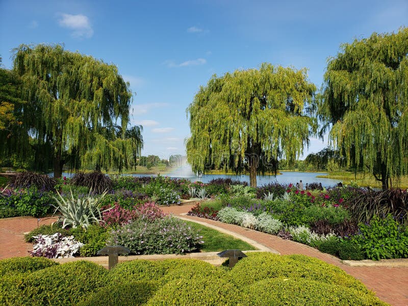 Spring Day in the Chicago Botanical Gardens Stock Photo - Image of ...