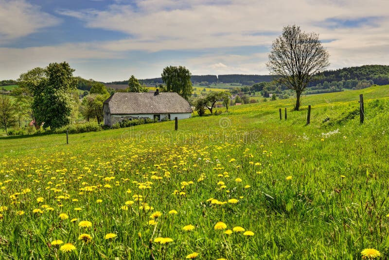 Spring day in the country stock photo. Image of rural - 54043162