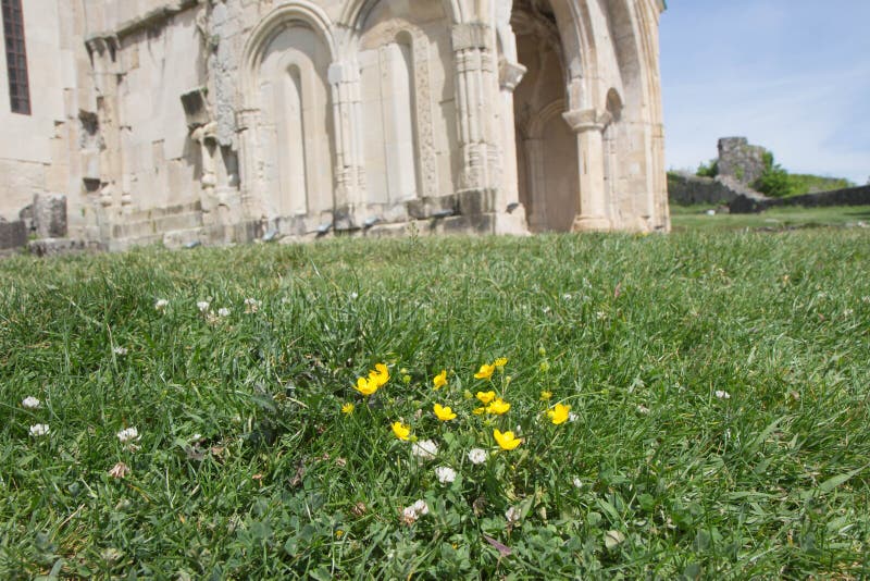 Green Grass, Yellow Flower with Ruins in Background with Temple in the ...
