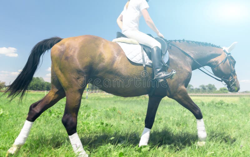 Spring day horse and rider stock image. Image of moving - 136062347