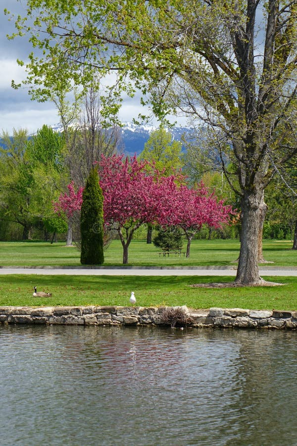 Spring Day at a Park in Boise, Idaho Stock Photo - Image of nature ...