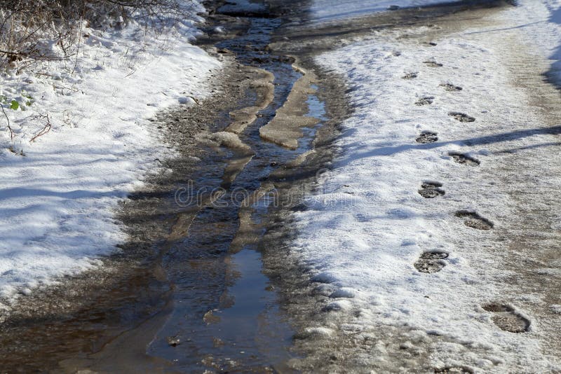 Spring Day, Running Stream with Melt Water Stock Photo - Image of river ...