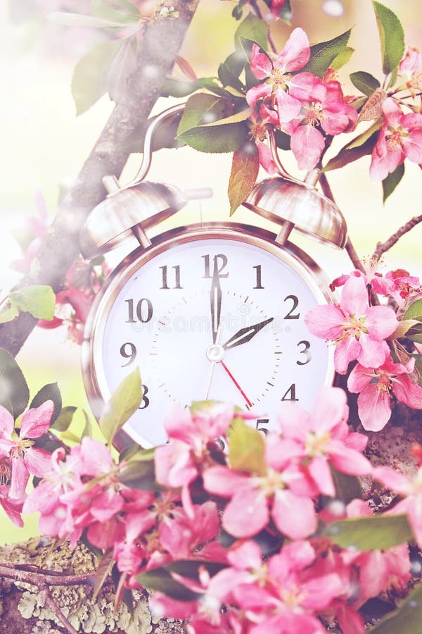 2,402 Daylight Savings Time Photos - Free & Royalty-Free Stock Photos ...