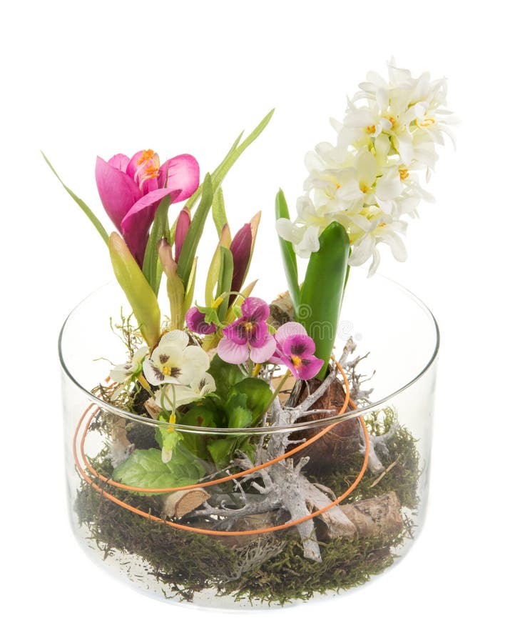 Spring Deco stock photo. Image of crocus, glass, petals - 38659840