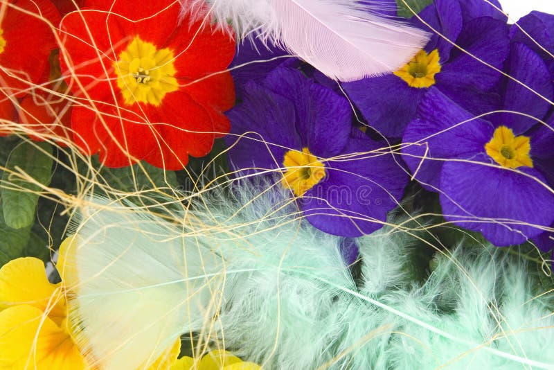 Spring decoration stock image. Image of feathers, cowslip - 8677463