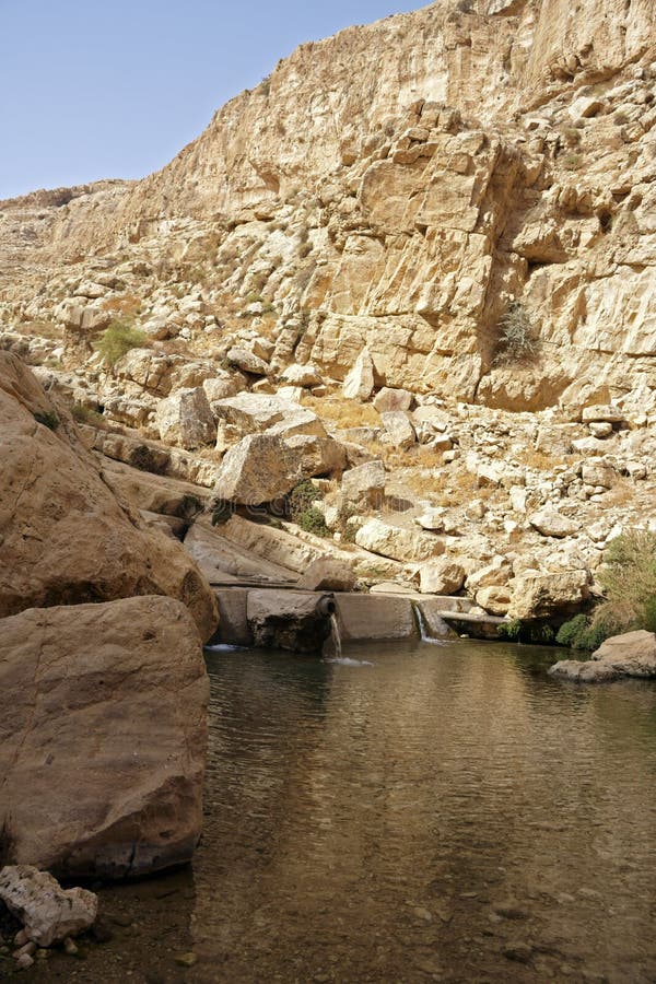 Spring in the desert stock image. Image of green, lifestyle - 11197227